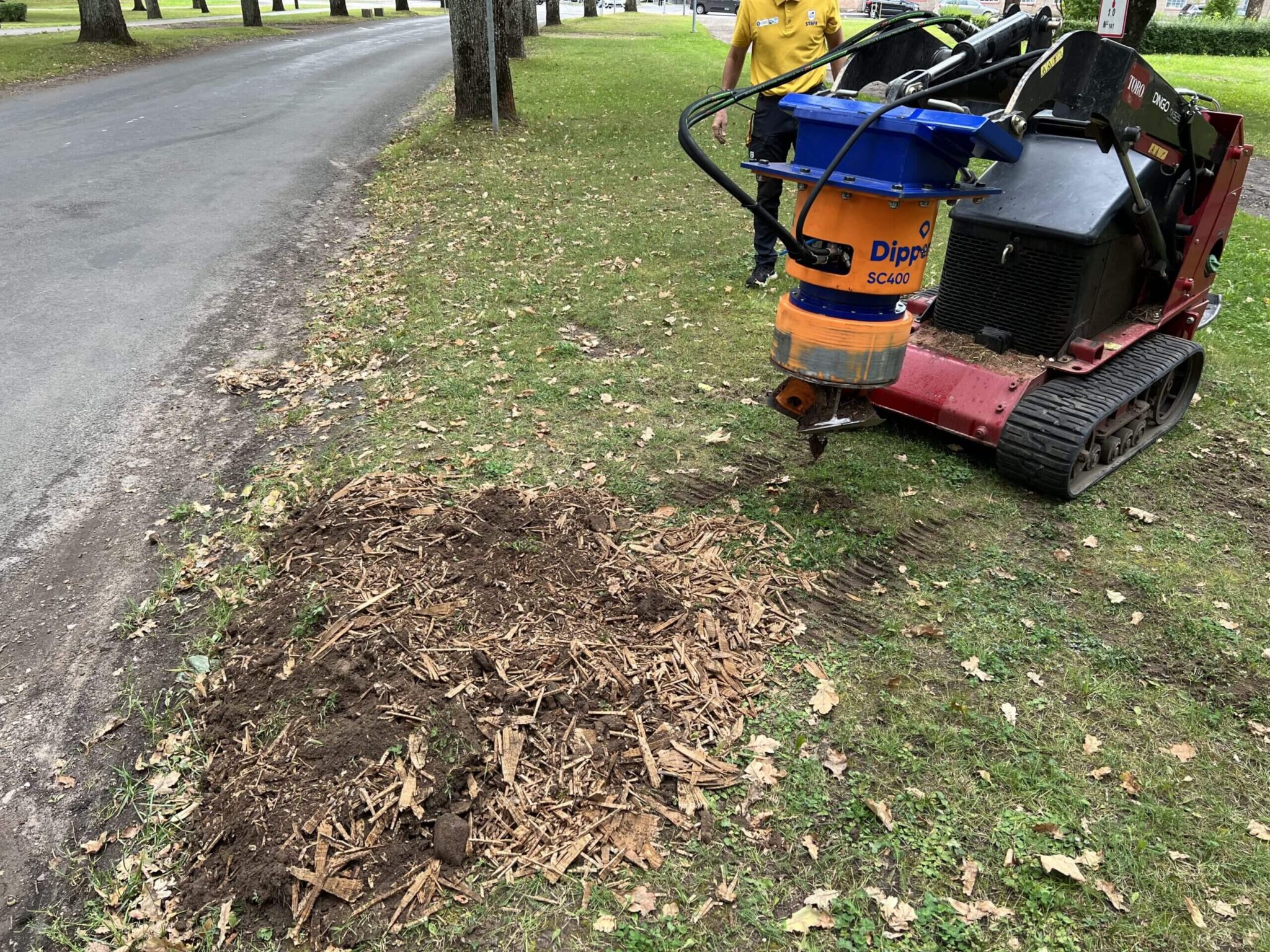Commercial-Grade Rapid Stump Grinder Rental in Milwaukee
