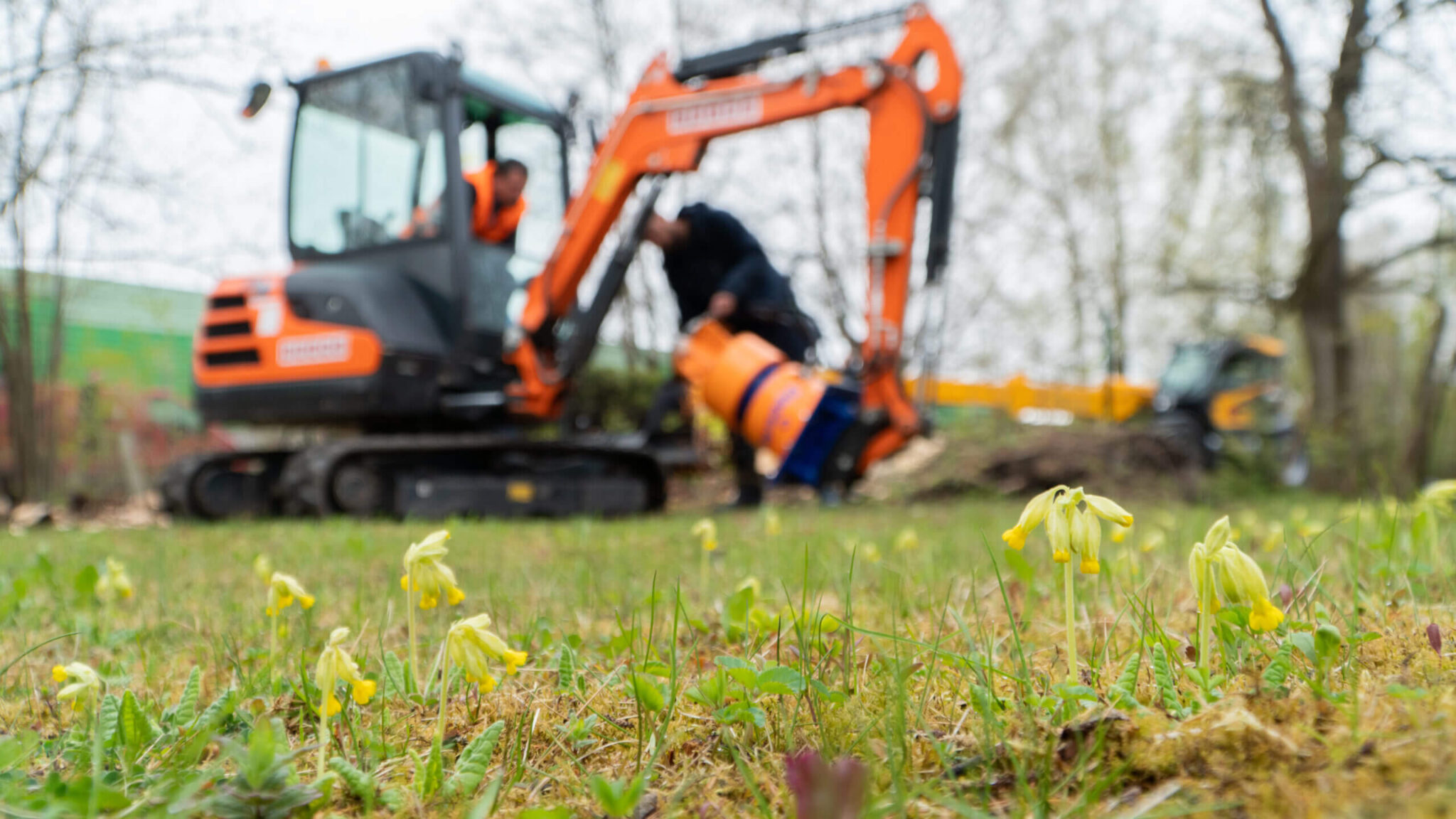 Commercial-Grade Rapid Stump Grinder Rental in Milwaukee